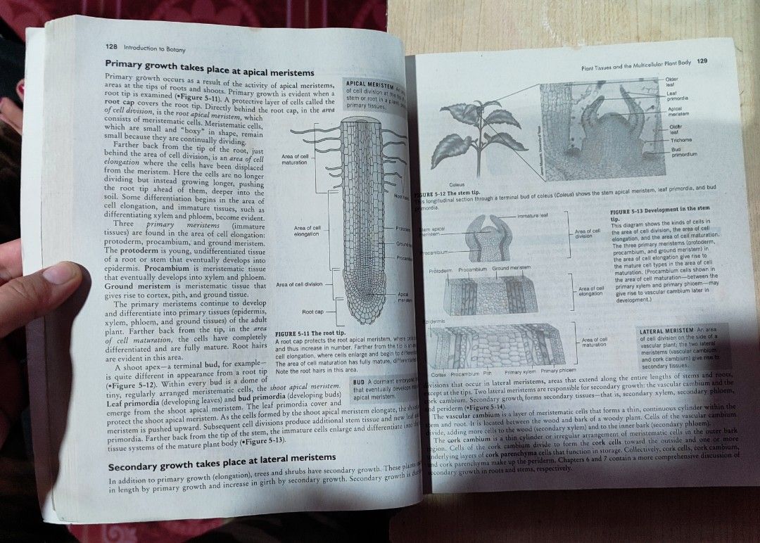 INTRODUCTION TO BOTANY Book on Carousell