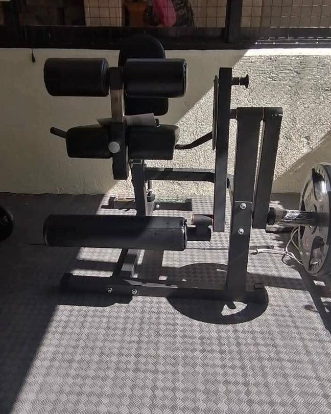 Leg Curl / Leg Extension Dual Plate Loading on Carousell
