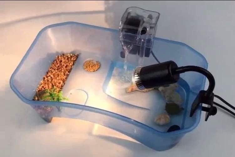 NEW! Turtle tub/ Turtle box size XL can host small to big size, Pet ...