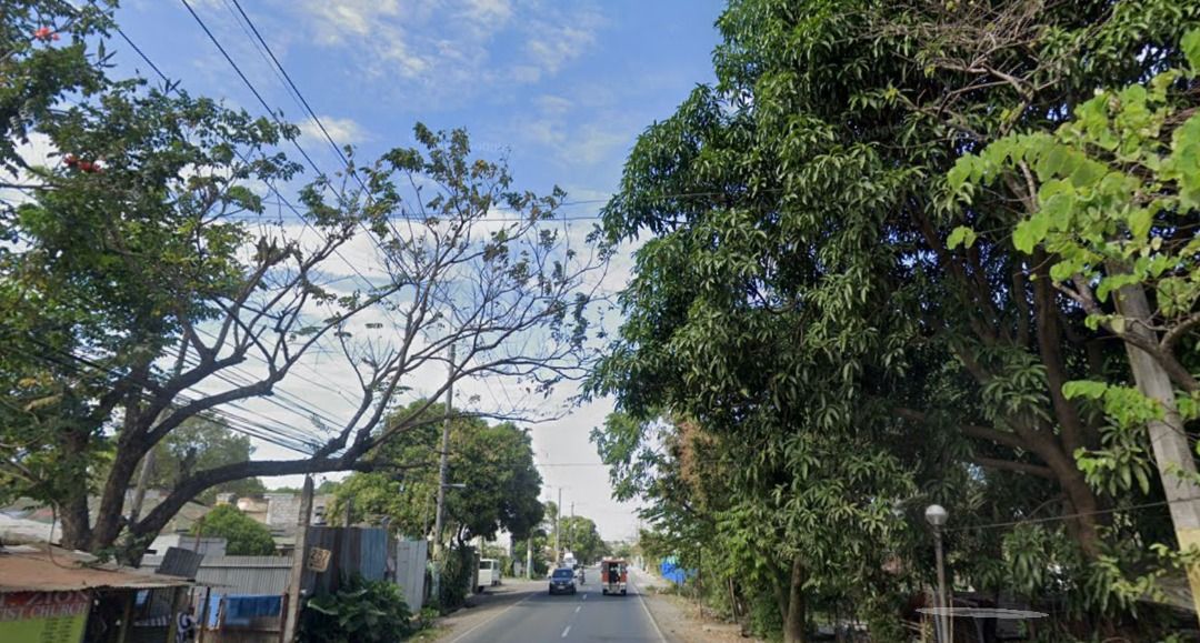 Paliparan Road, Dasmarinas, Cavite: Commercial Lot For Sale, 22,157 sqm ...