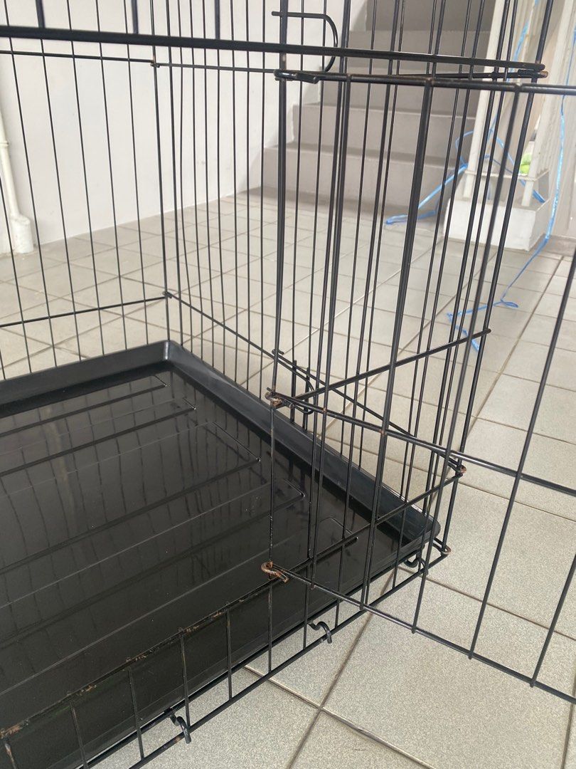 Pet cage and pee tray for puppy, Pet Supplies, Homes & Other Pet ...