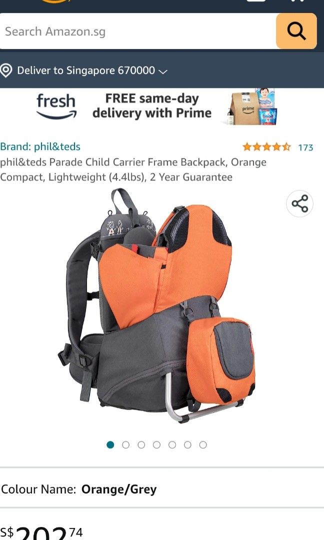 Phil&teds Baby Child Carrier Frame Backpack, Babies & Kids, Going Out ...