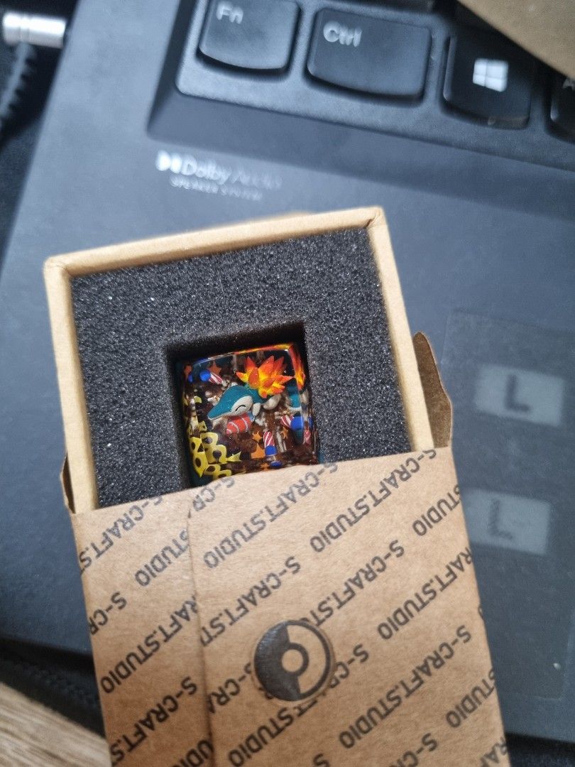 s craft pokemon keycap Cyndaquil, Computers & Tech, Parts & Accessories ...