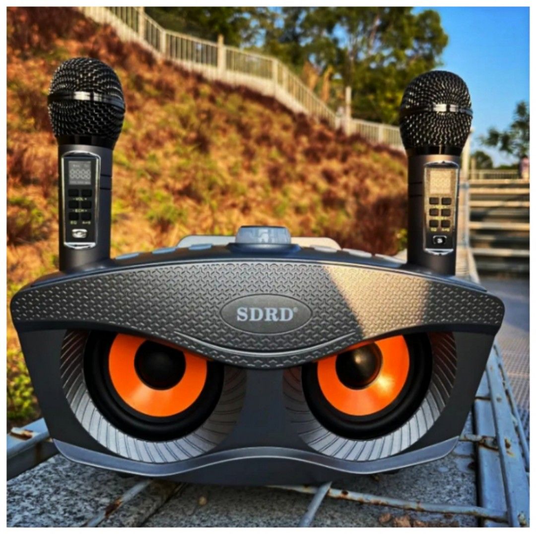 SDRD 306 PLUS, Audio, Portable Music Players on Carousell