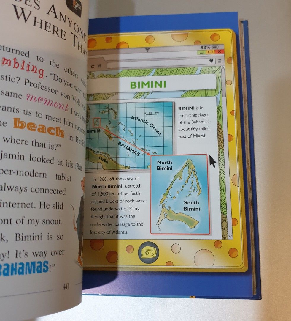 Time Warp (Geronimo Stilton Journey Through Time), Hobbies & Toys ...