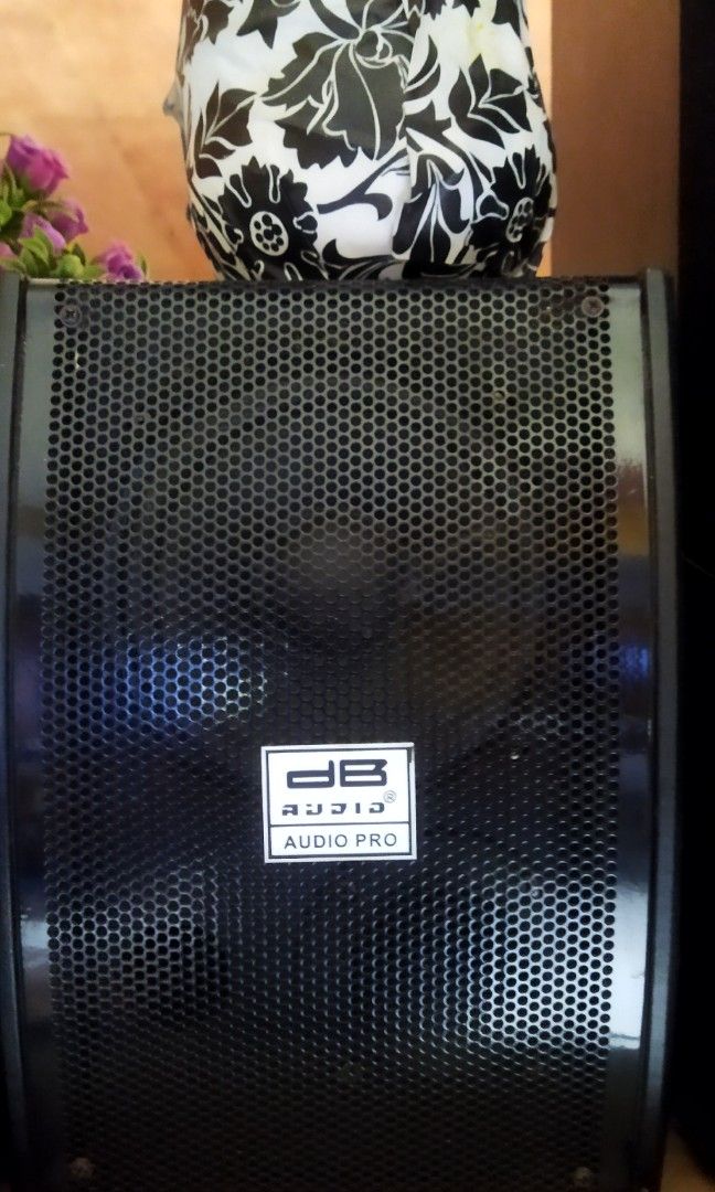 dB audio pro on Carousell