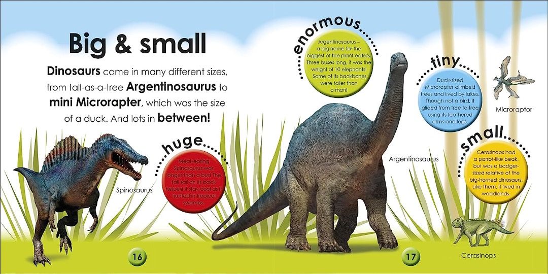 DK First Facts Dinosaurs (Start A Lifetime of Learning) [Hardcover], 興趣 ...