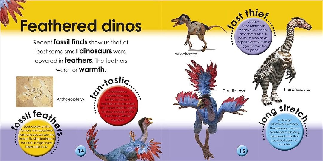 DK First Facts Dinosaurs (Start A Lifetime of Learning) [Hardcover], 興趣 ...