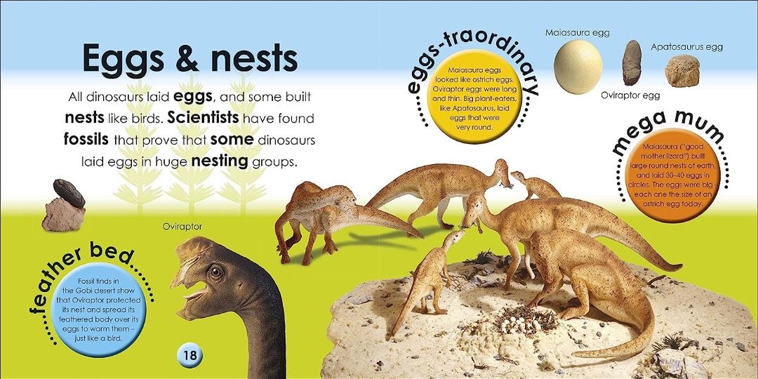 DK First Facts Dinosaurs (Start A Lifetime of Learning) [Hardcover], 興趣 ...