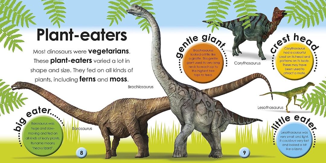 DK First Facts Dinosaurs (Start A Lifetime of Learning) [Hardcover], 興趣 ...