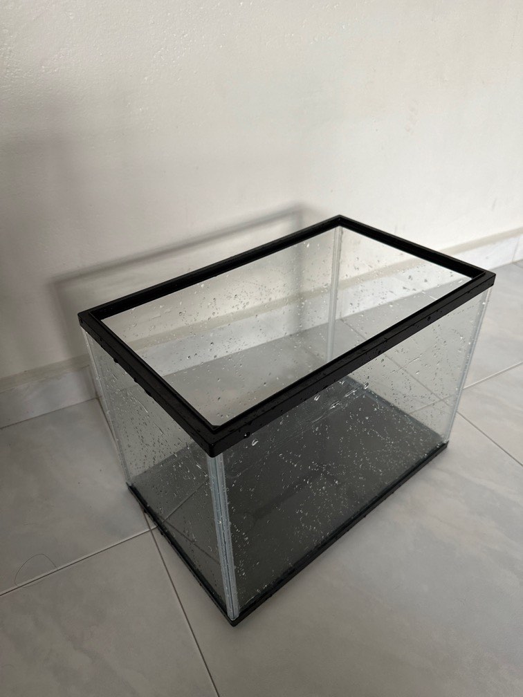 Gex M fish tank, Pet Supplies, Homes & Other Pet Accessories on Carousell