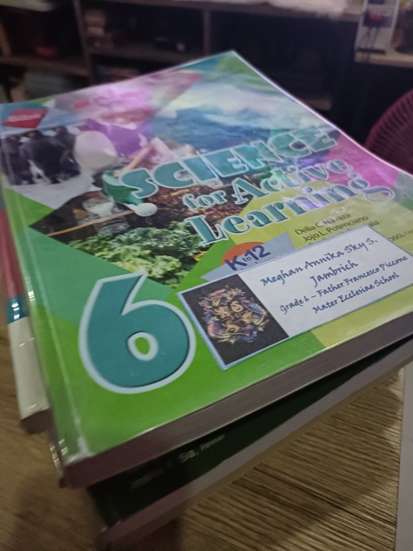 Grade 6 books on Carousell