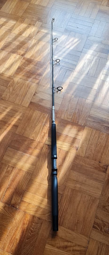 Heavy spinning rod, 2-piece, G-Loomis components, Sports Equipment ...