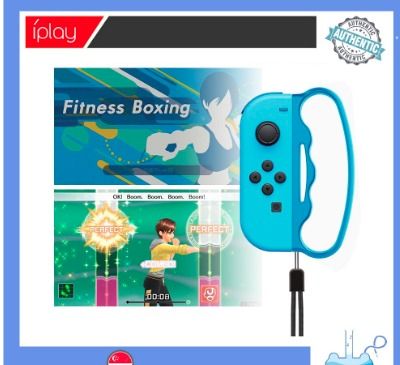 iPlay Fitness Boxing Controller Hand Grip Left+Right for Nintendo ...