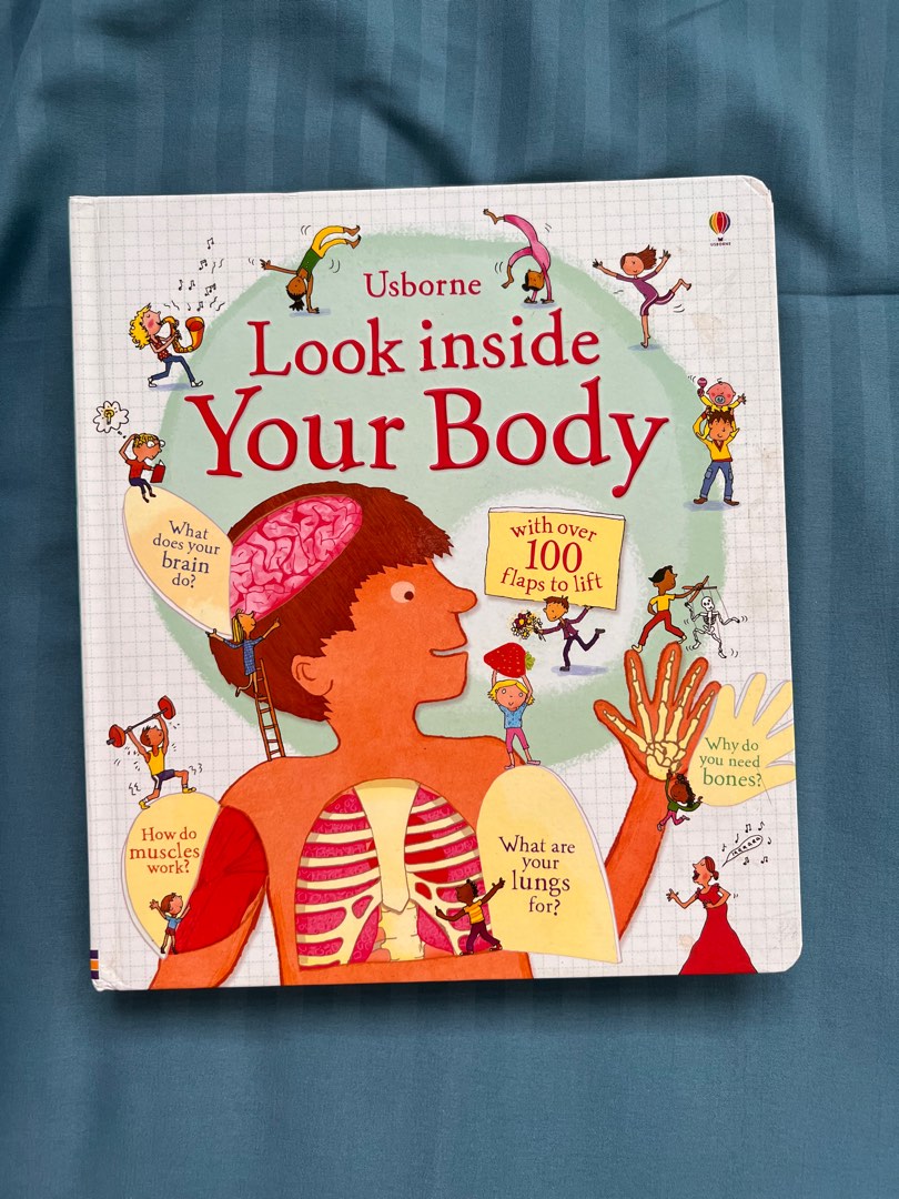 Look Inside your body Flip Book, Hobbies & Toys, Books & Magazines ...