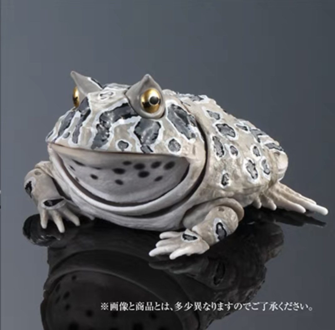 MISB BANDAI GASHAPON FROG TOAD, Hobbies & Toys, Toys & Games on Carousell