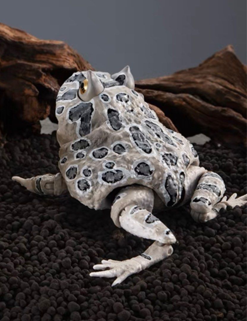 MISB BANDAI GASHAPON FROG TOAD, Hobbies & Toys, Toys & Games on Carousell