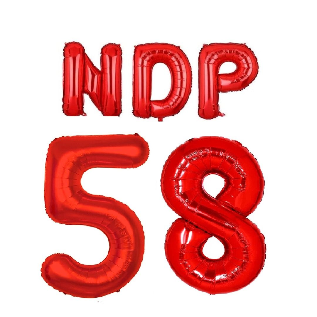 National Day Singapore National Day Decorations SG 58 I Love SG Decor ...