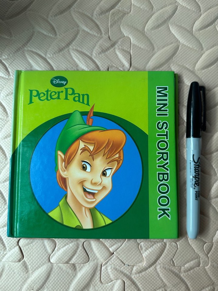Peter Pan Mini Storybook, Hobbies & Toys, Books & Magazines, Children's ...