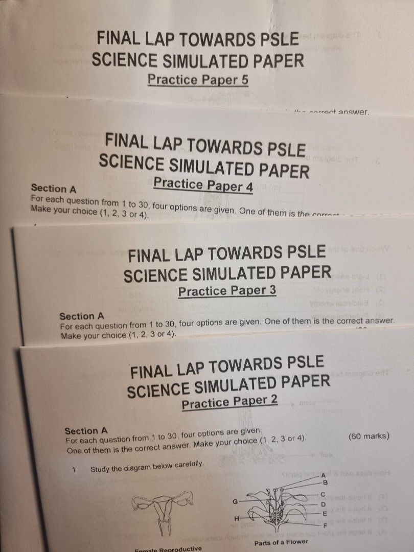 PSLE science simulated exam papers, Hobbies & Toys, Books & Magazines ...