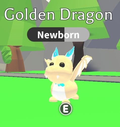 Roblox | Adopt Me| Golden Dragon, Video Gaming, Gaming Accessories, In ...