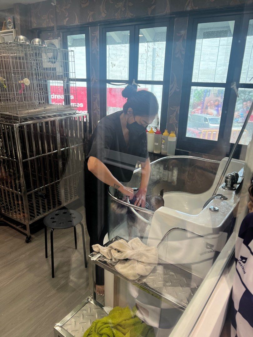 (WEST) SKC Certified Pets grooming and boarding services, Lifestyle Services, Pet Care Services ...