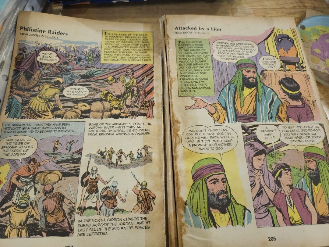 The picture bible, Hobbies & Toys, Books & Magazines, Religion Books on ...