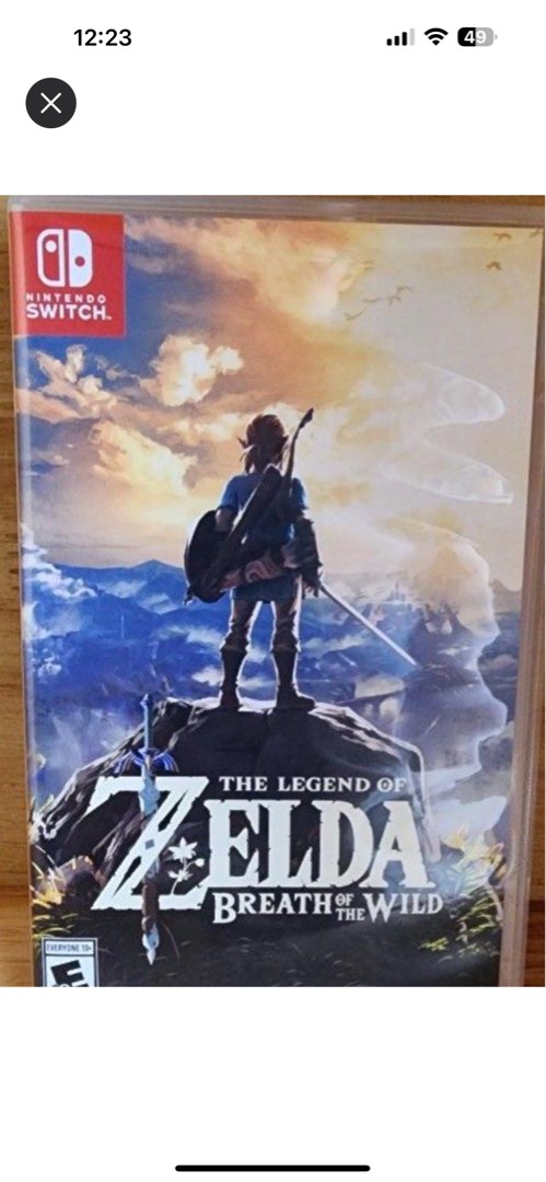 Zelda Breath Of The Wild botw, Video Gaming, Video Games, Nintendo on ...