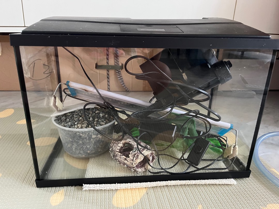 21 litre Resun fish tank, Pet Supplies, Homes & Other Pet Accessories ...