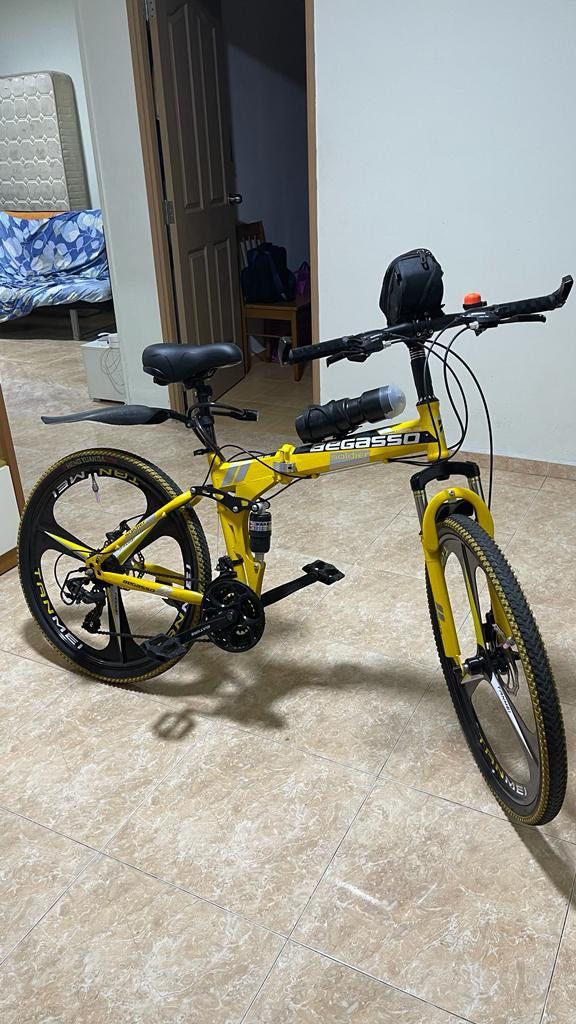 Begasso Bicycle, Sports Equipment, Bicycles & Parts, Bicycles on Carousell