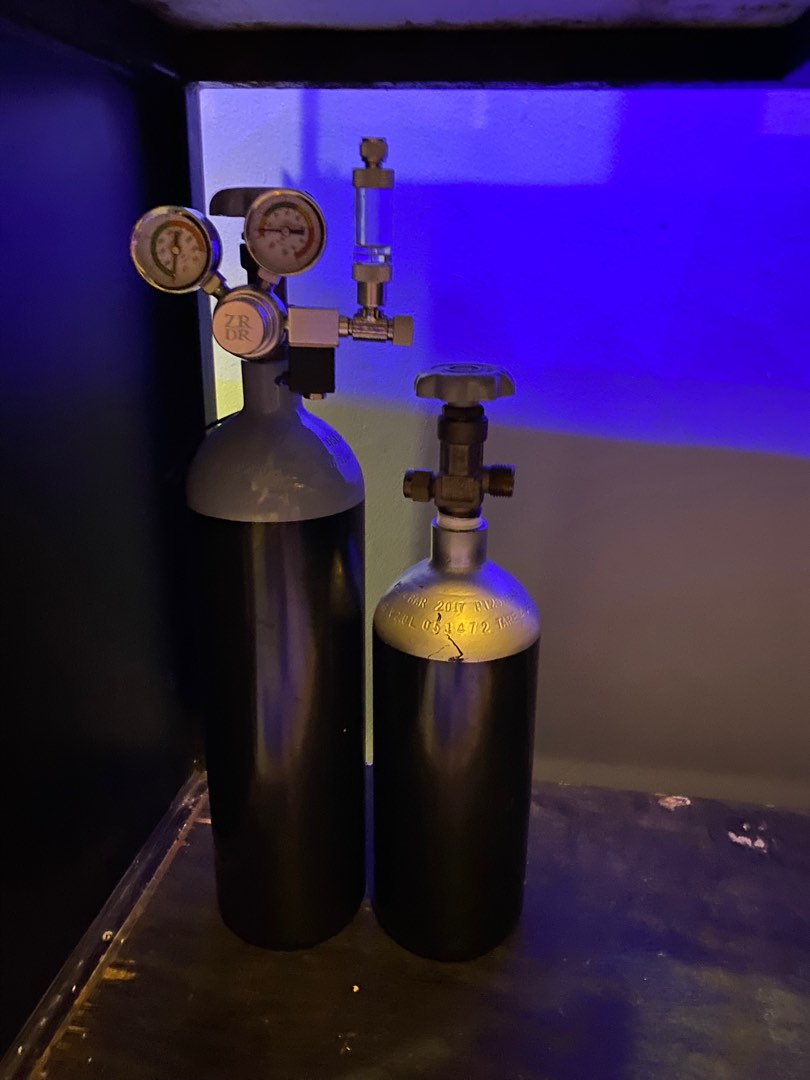 co2 tank set for aquarium plant tank, Pet Supplies, Homes & Other Pet ...