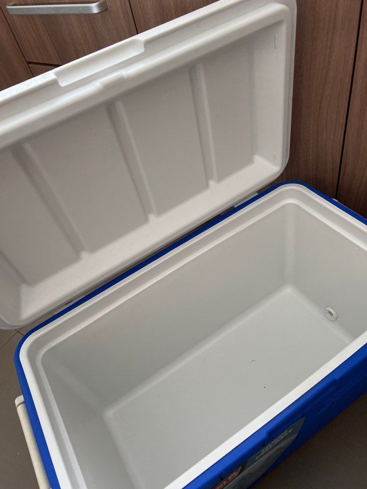 Coleman Cooler Boxes (45.4l & 4.7l), Everything Else on Carousell