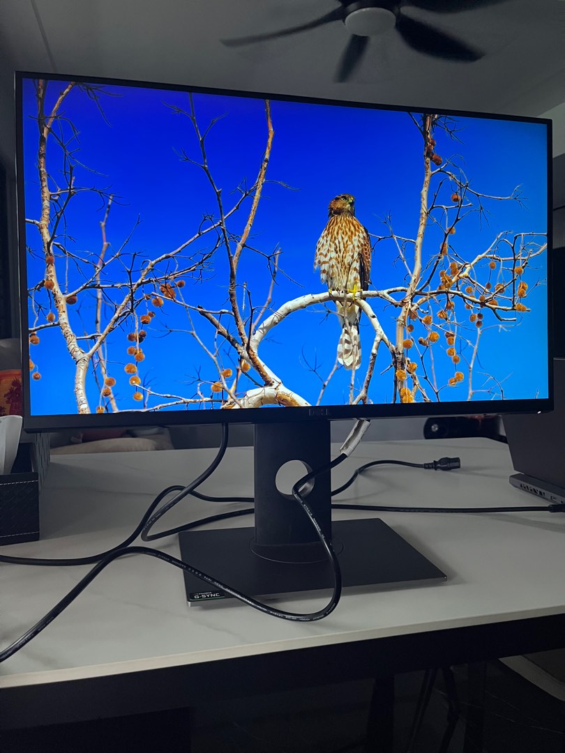 DELL S2716DG 27" inch Gaming WQHD Monitor Resolution 2560 x 1440 ...