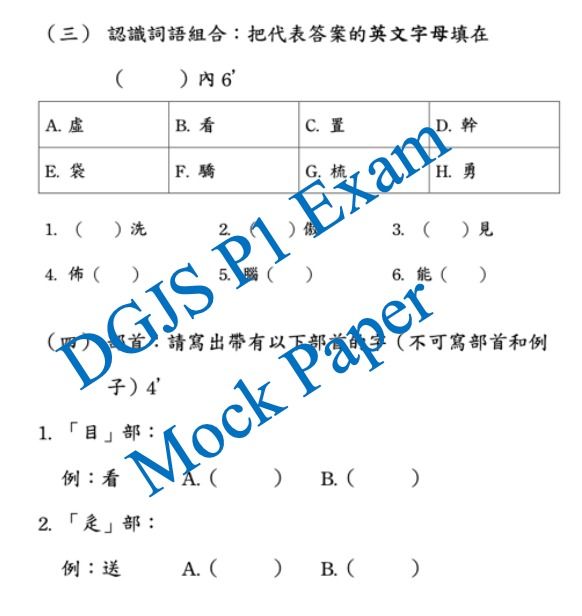 DGS DGJS P1 Chinese EXAM-Set 1, 興趣及遊戲, 書本 & 文具, 書本及雜誌 - 補充練習 - Carousell