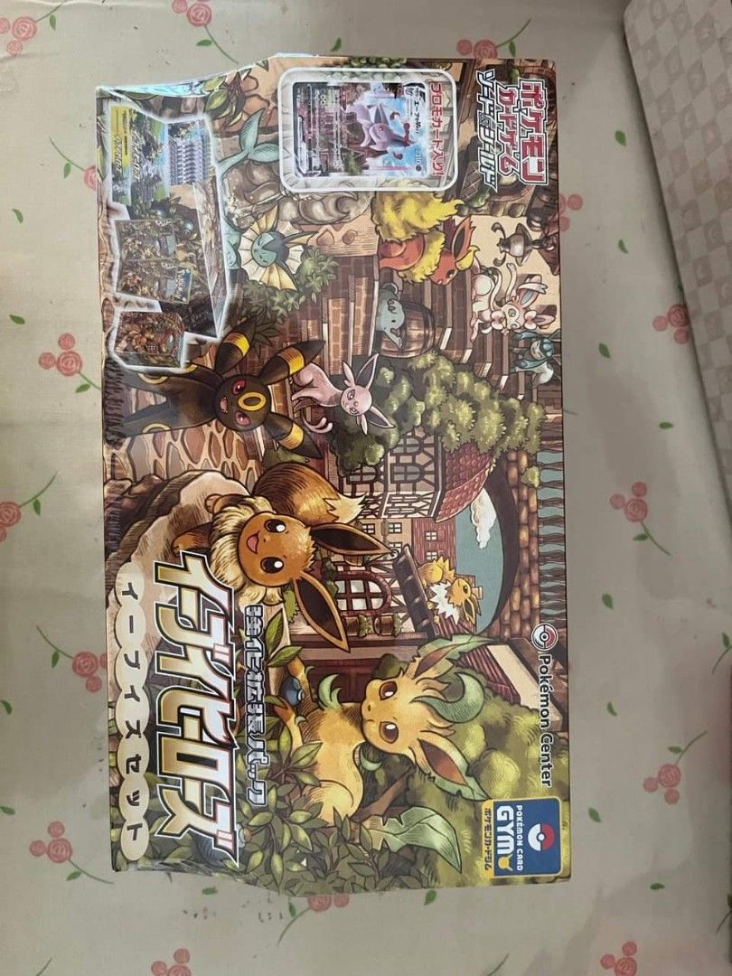 Pokemon Eevee heroes gym box, Hobbies & Toys, Toys & Games on Carousell