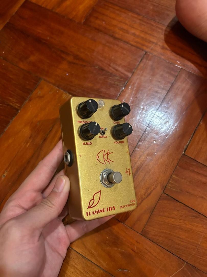 Flaming Lips distortion pedal, Hobbies & Toys, Music & Media, Musical ...