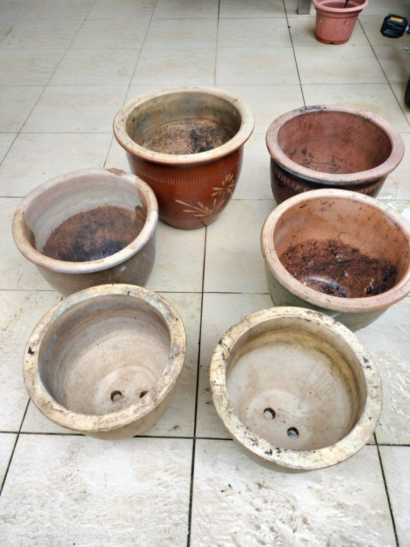 Flower Pots, Assorted, Bundle of six, Furniture & Home Living ...