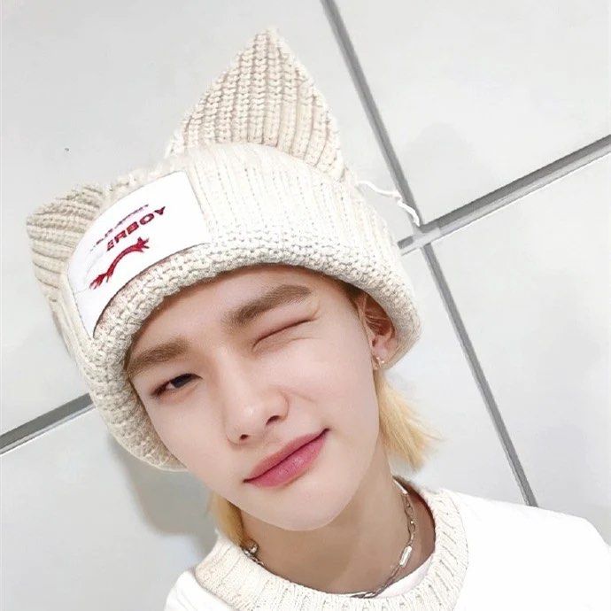 wts lfb stray kids loverboy cat beanie hyunjin bangchan jeongin felix ...