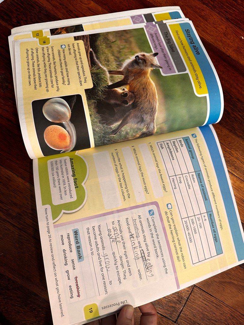 OXFORD International Primary Science 3 (USED ), Hobbies & Toys, Books ...