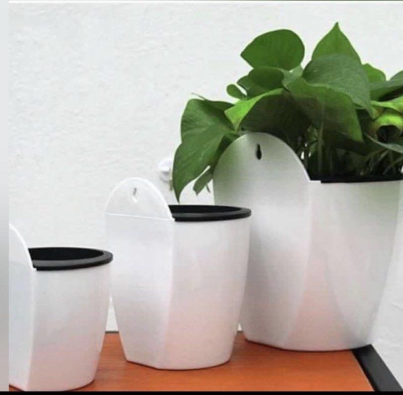 Self watering wall planter, Furniture & Home Living, Gardening, Pots ...