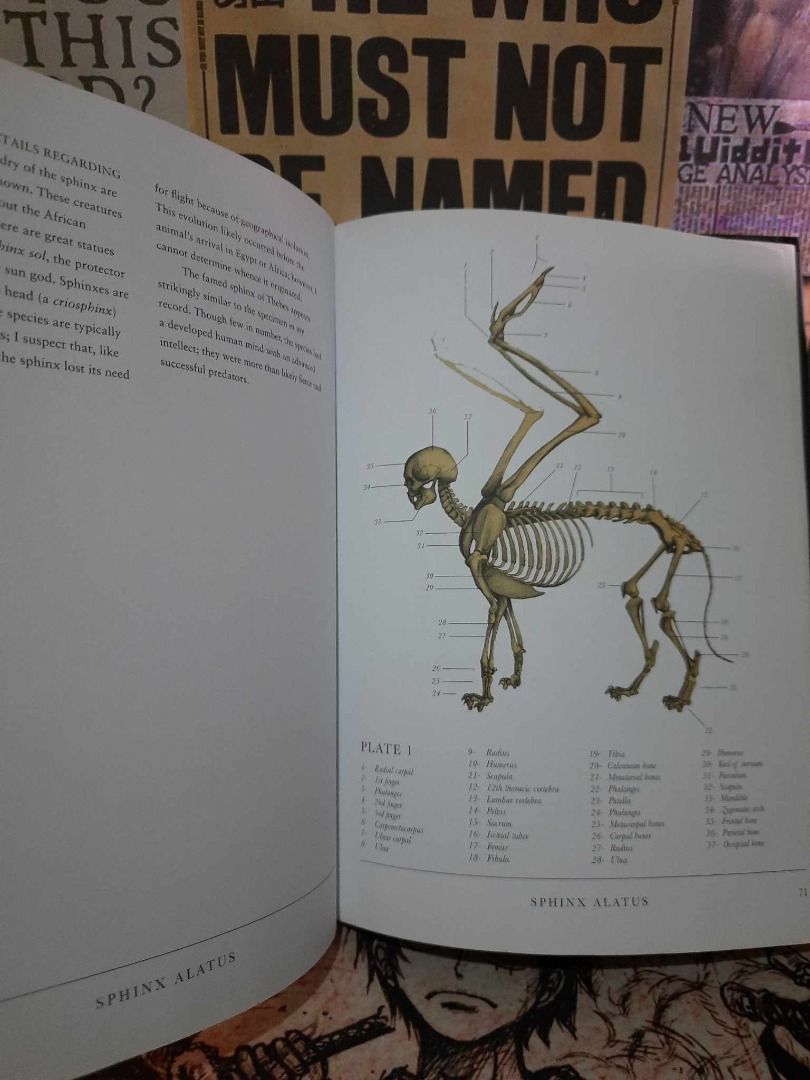 The Resurrectionist: The Lost Work of Dr. Spencer Black by E.B ...