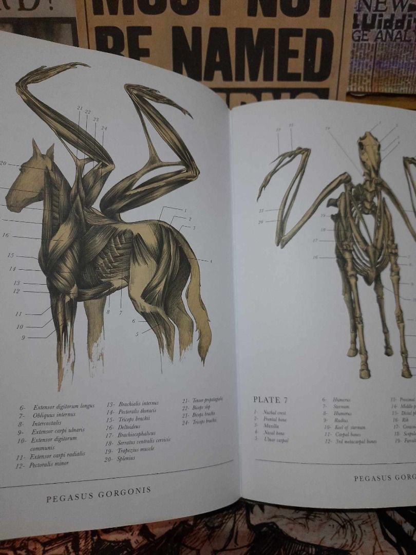 The Resurrectionist: The Lost Work of Dr. Spencer Black by E.B ...