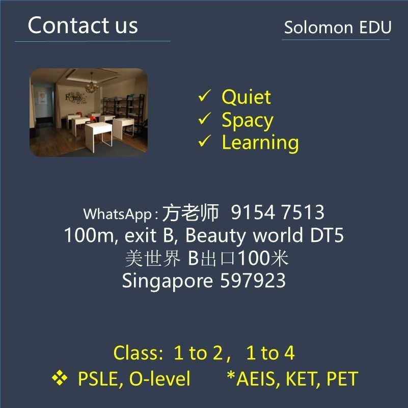 tuition primary PSLE secondary O-level AEIS KET PET English, Maths, Chinese, Science, Physics ...