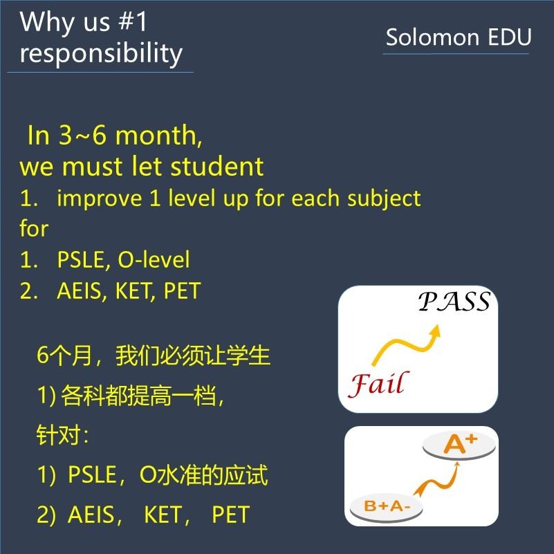 tuition primary PSLE secondary O-level AEIS KET PET English, Maths, Chinese, Science, Physics ...