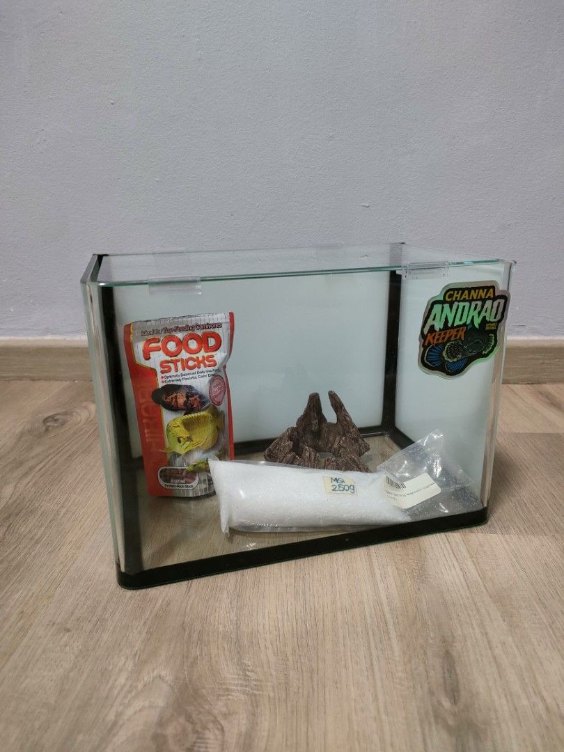 1ft fish tank, Sports Equipment, Fishing on Carousell