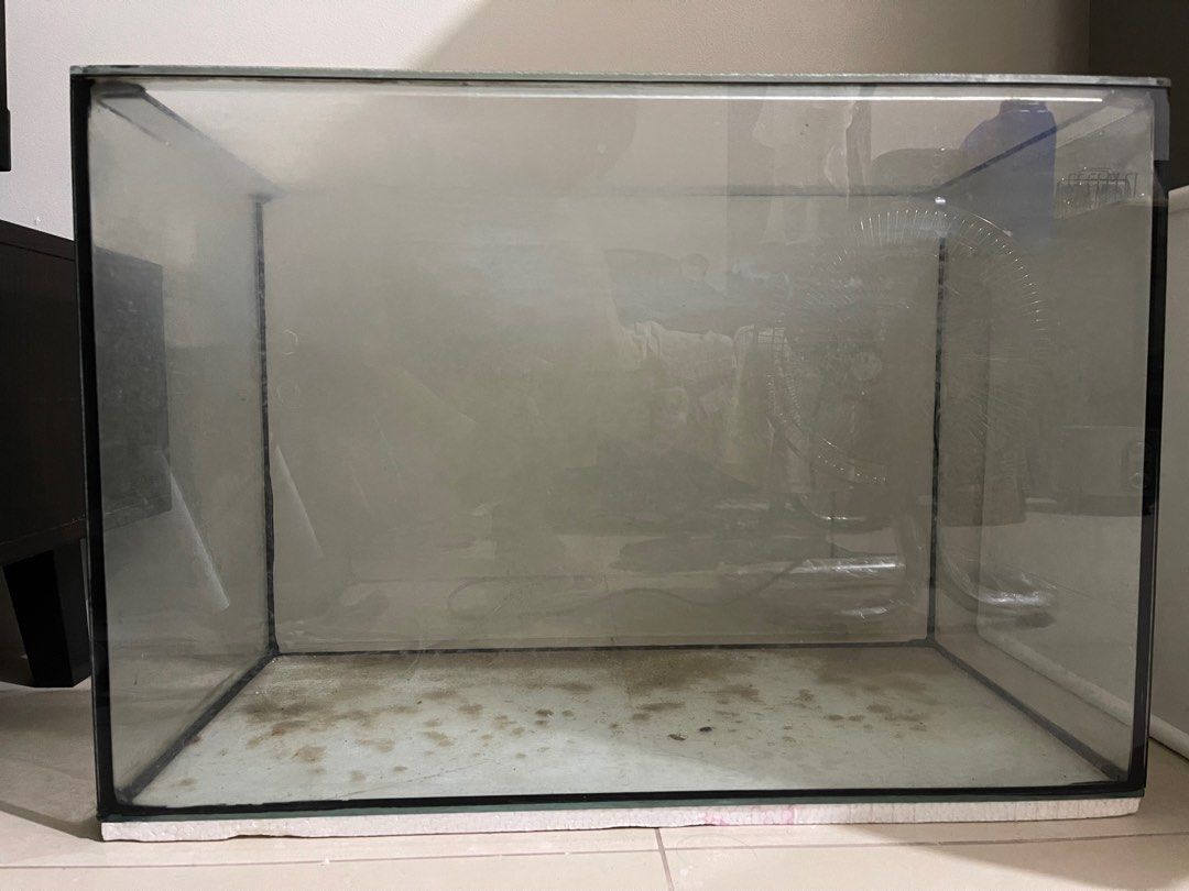 30 Gallon fish tank, Pet Supplies, Homes & Other Pet Accessories on ...