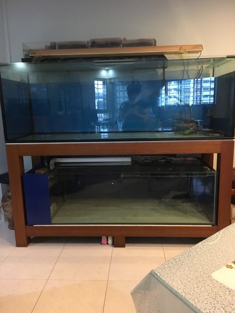 5 and 6 ft fish tanks with stand, Pet Supplies, Homes & Other Pet ...