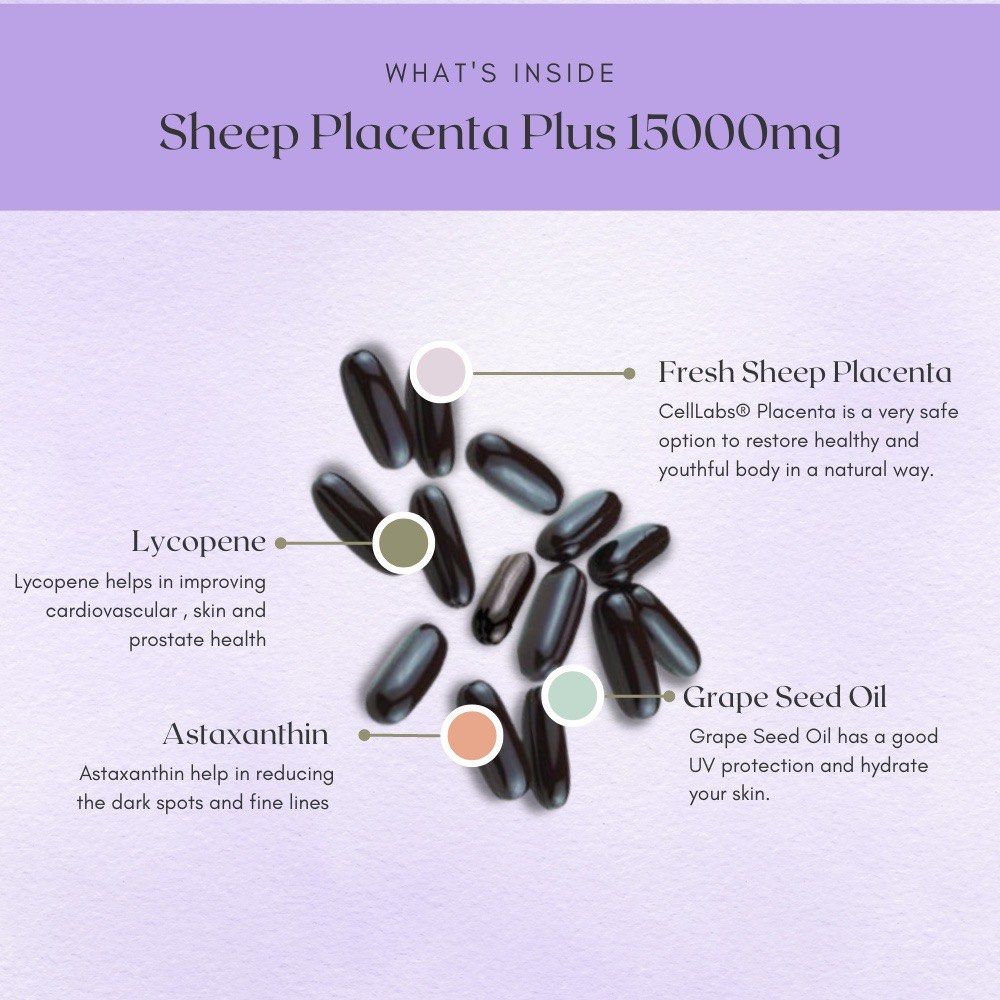 CellLabs Sheep Placenta with Grape Seed Oil Plus (15,000mg x 30 Tablets ...