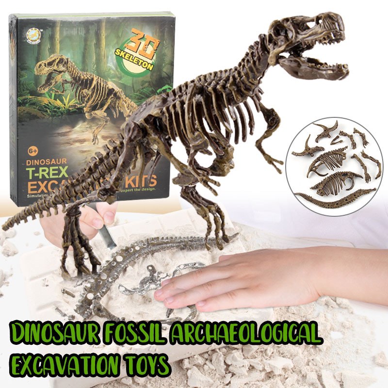 DIY Dinosaur Excavation Set Fossil Clay Sand Skeleton Education ...