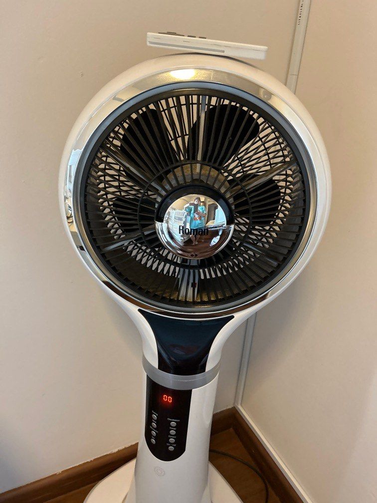 Dyson Fan AM06 and Roman Standing Fan with Remote, Furniture & Home ...